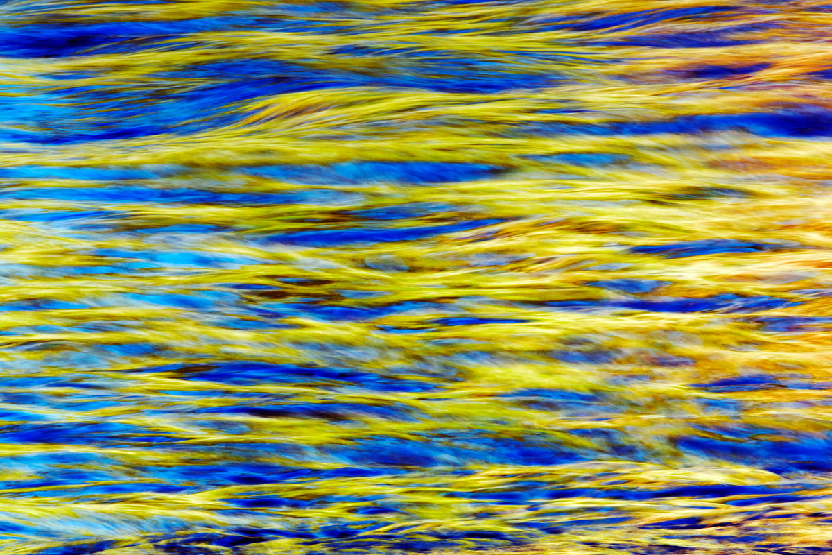 Cool Vibrations (Limited Edition 40x60) 7/10 – Soley Fine Art